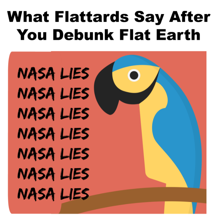 What flat earthers say after you debunk their fantasies? | Scrolller