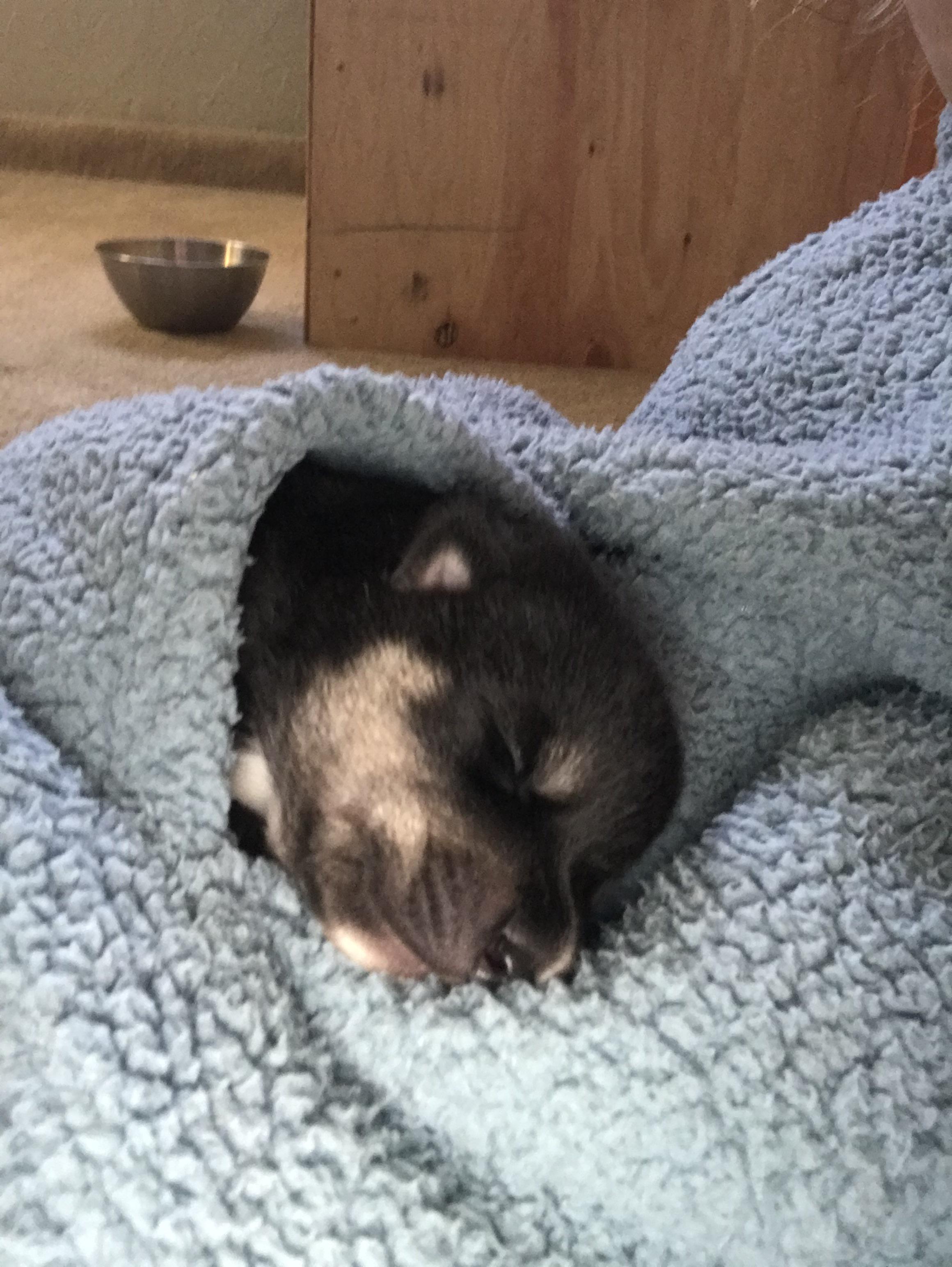 What have I got in my pocket? | Scrolller