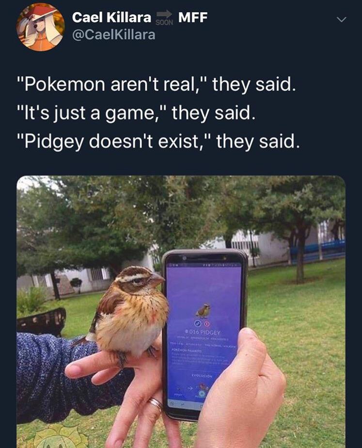 what is the actual name of this real life pidgey? | Scrolller