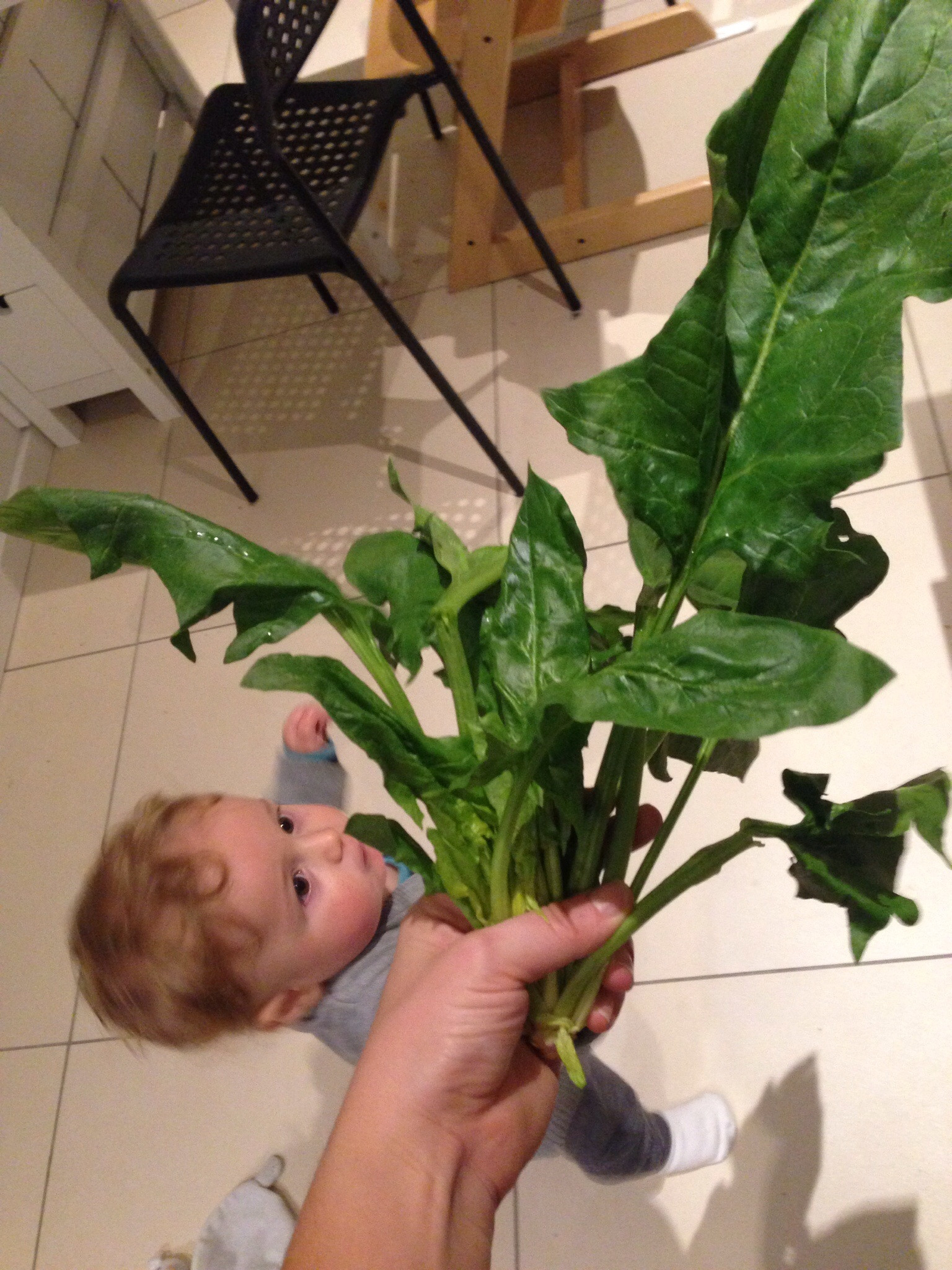 What is this vegetable and how do you prepare it ? | Scrolller