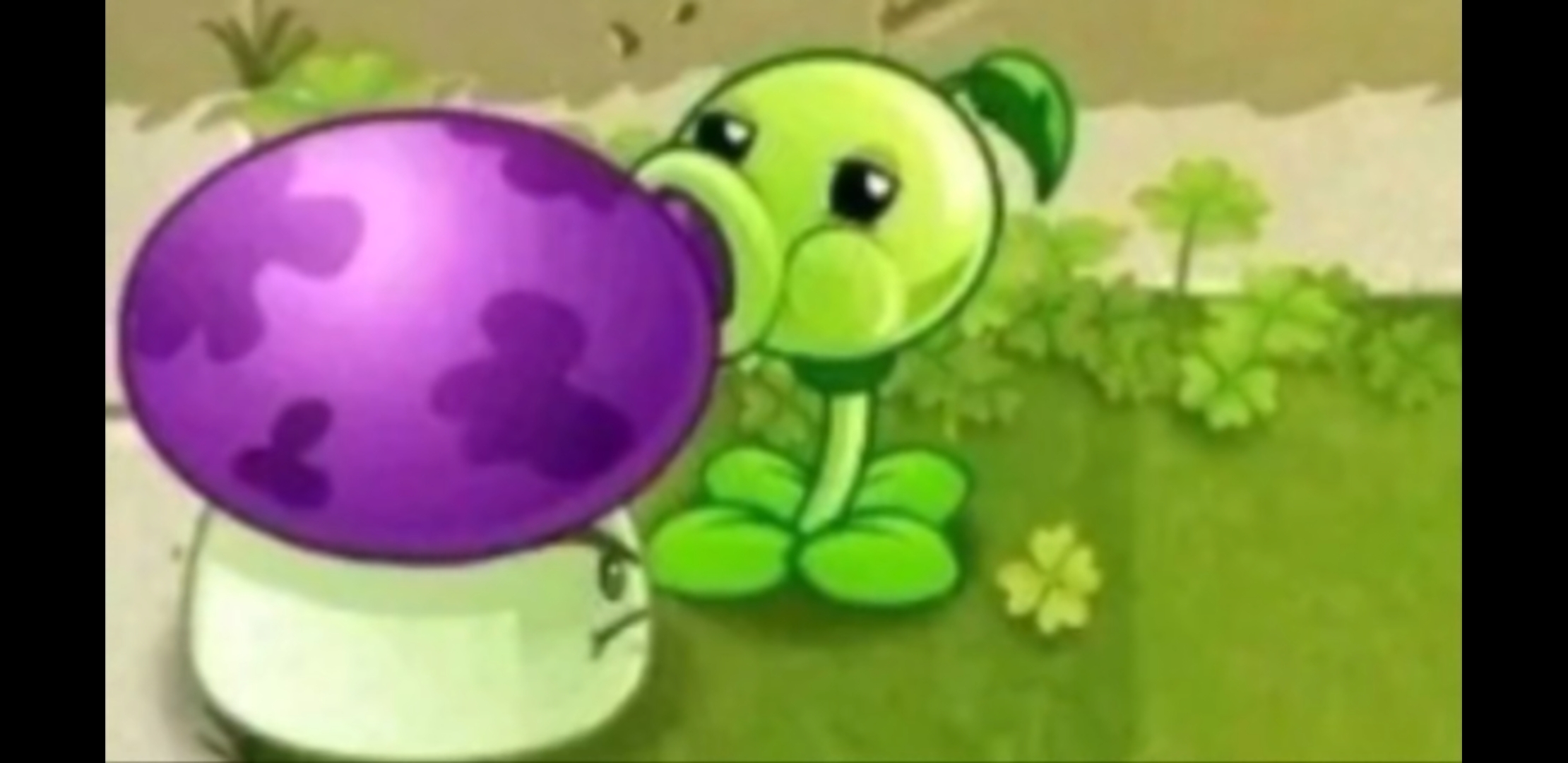 What! Peashooter did a naughty!? 🤔🤔🤔 | Scrolller