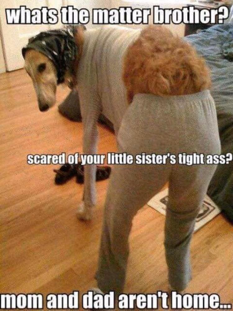 What’s the matter? | Scrolller