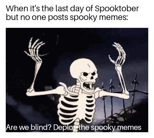 What tf are we doing? | Scrolller