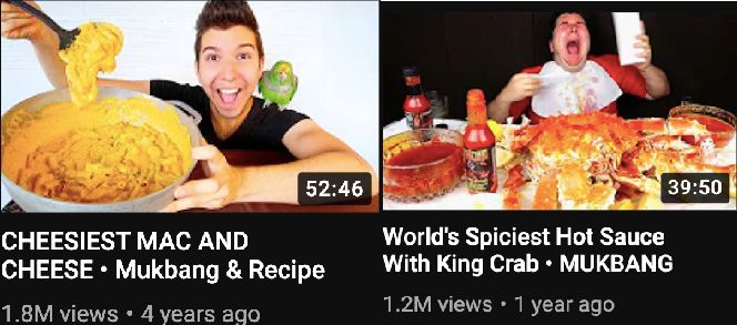 What the hell happened to Nikocado avocado | Scrolller