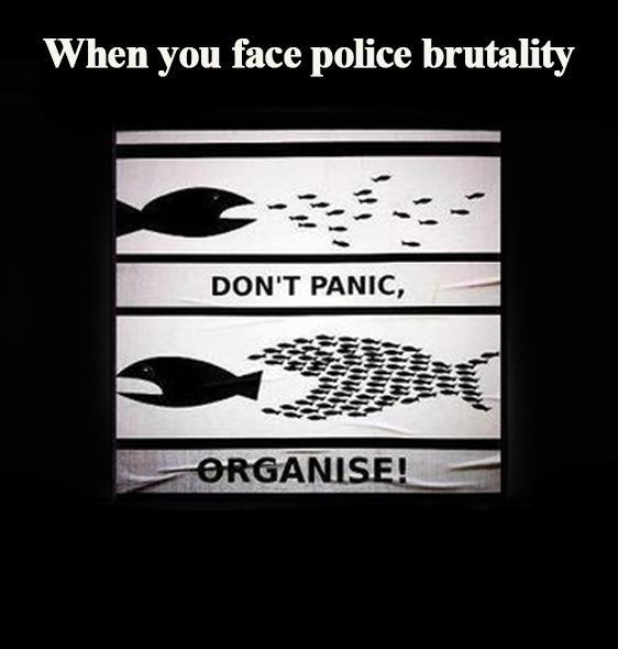 What to do when you face police brutality | Scrolller