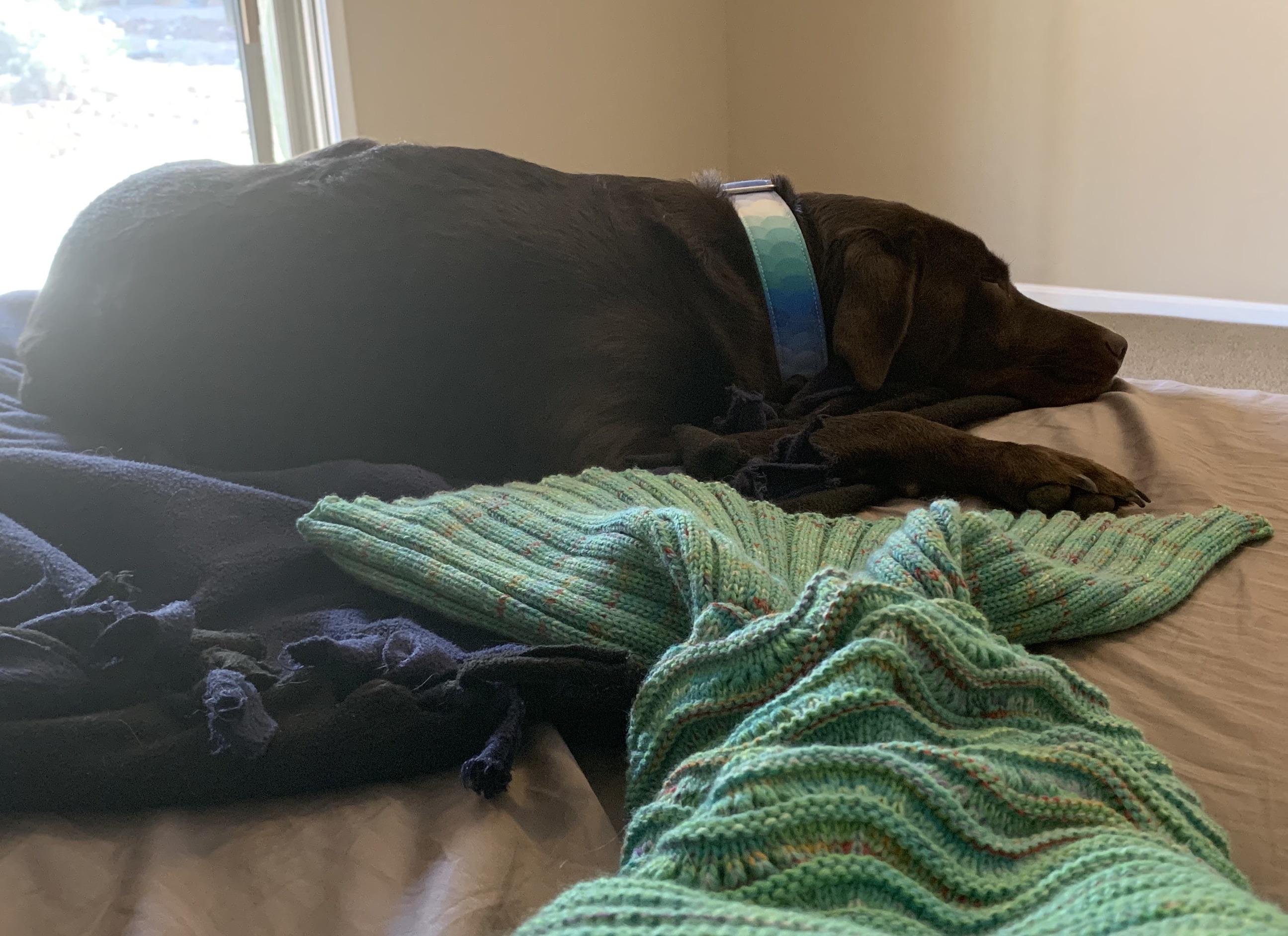 What would a Mermaid do without her loyal Merdog (Dogfish?) companion? Zoom in on her collar ...