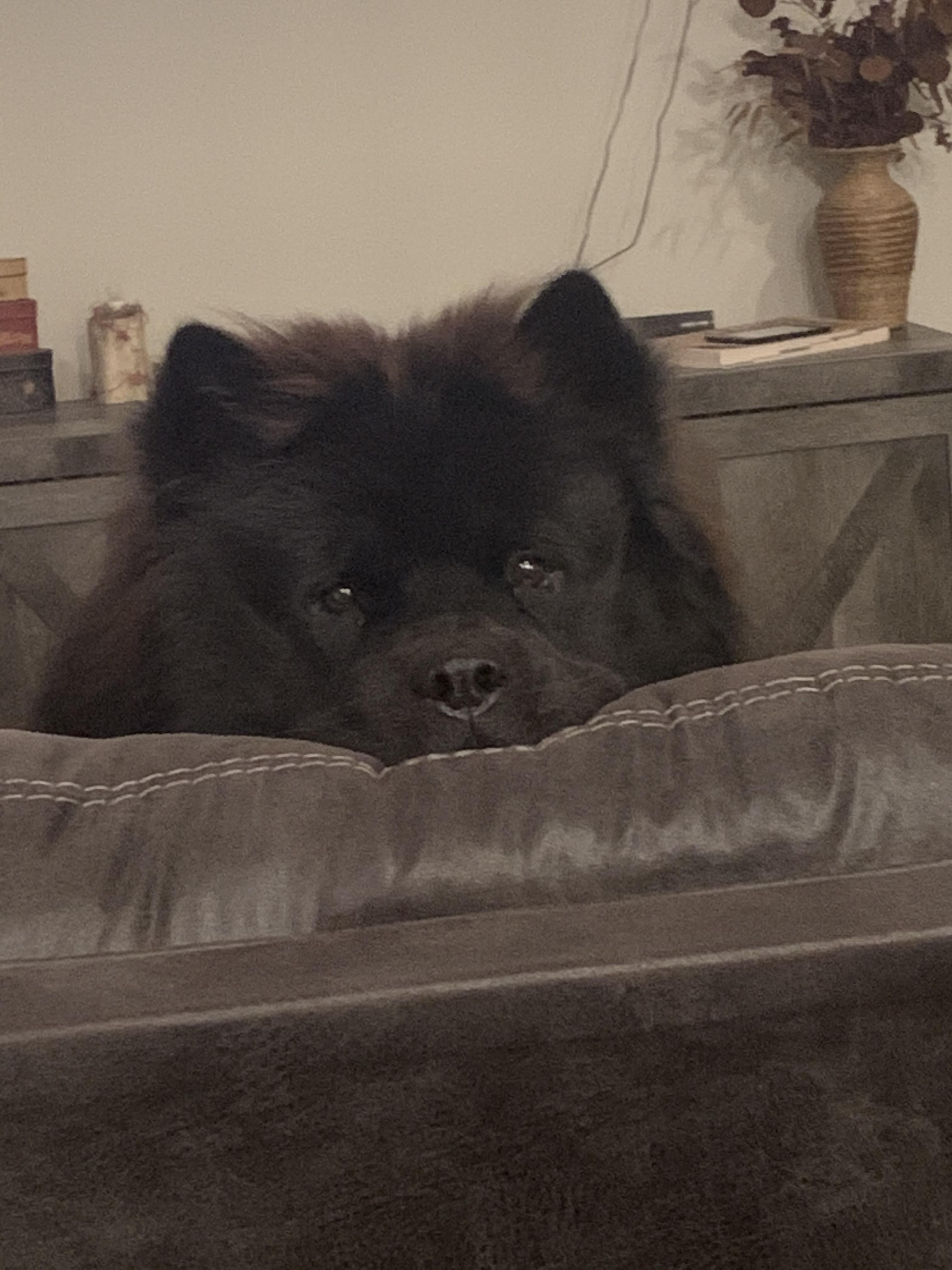 Whatcha eatin’ over there, hmmmmmm???? | Scrolller