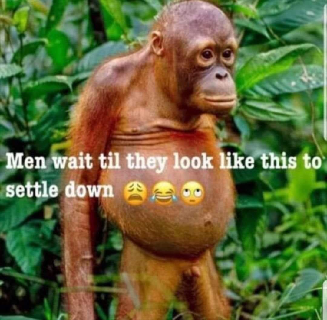 Whatchu think ? | Scrolller