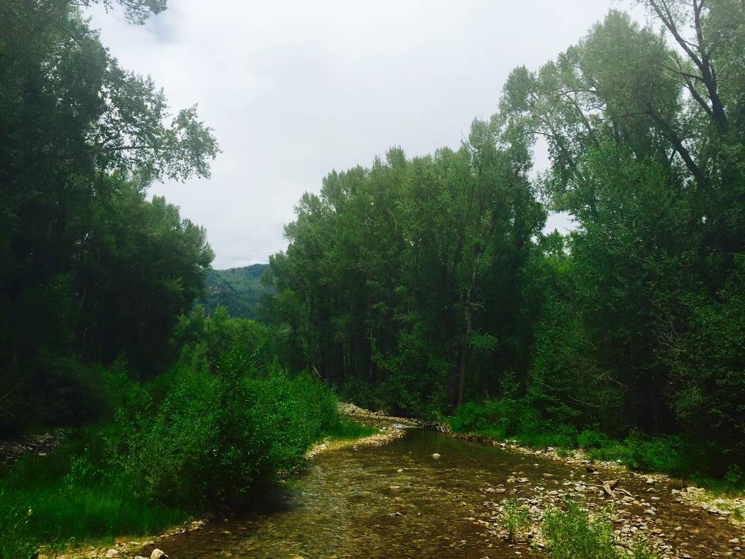 What's better than owning private land? Owning private land bordering National Forest, nice ...