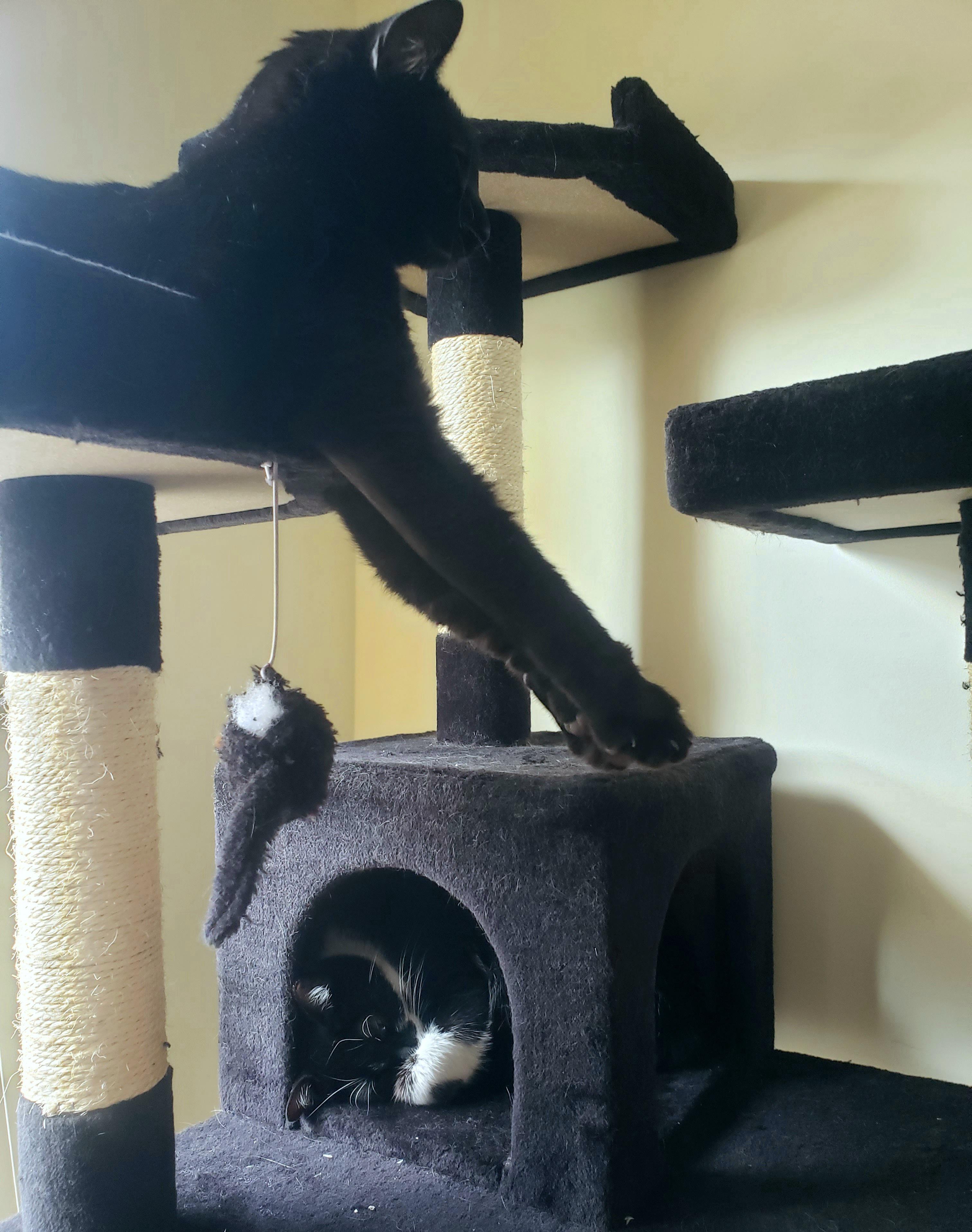 What's this album called? | Scrolller