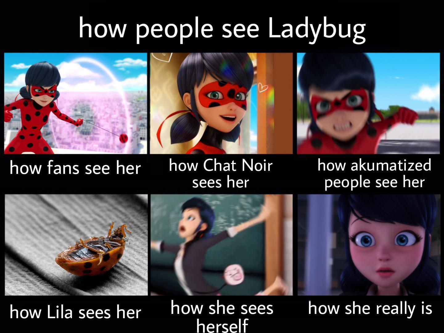 What's your favorite side of Ladybug? | Scrolller