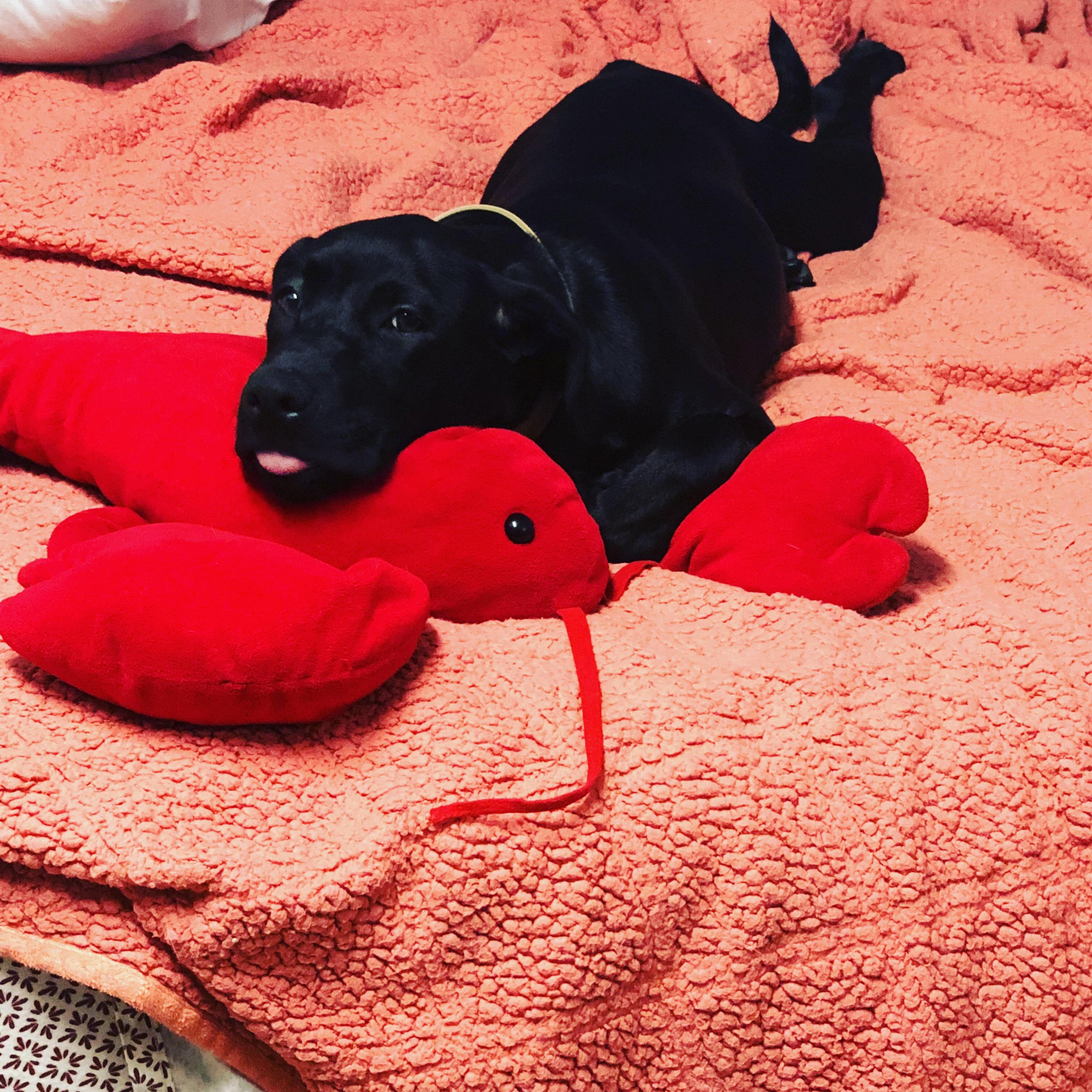 When she’s relaxed, she lets her bloop hang out | Scrolller