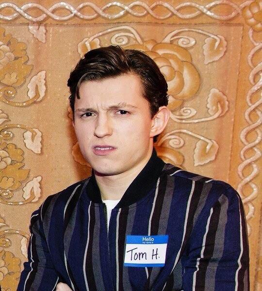 When someone says they don’t find Tom Holland attractive | Scrolller