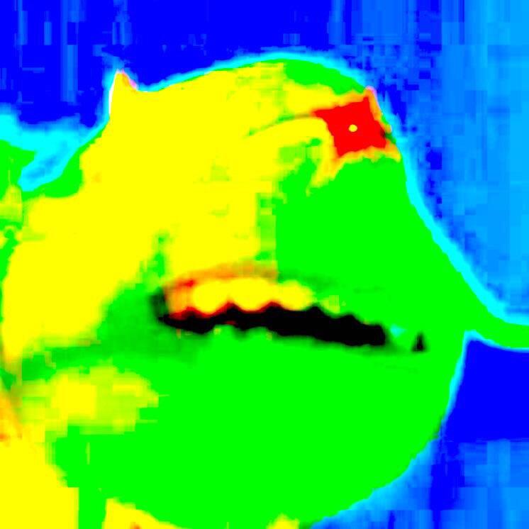 When that happens | Scrolller