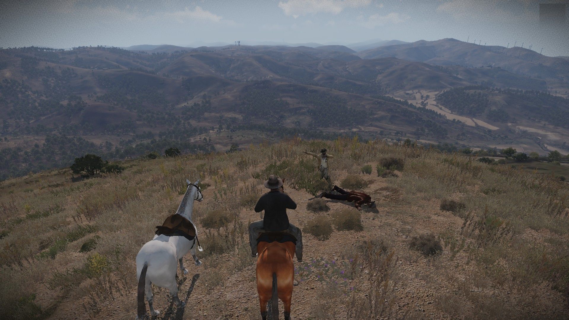 When you can't play RDR2 so you have to improvise | Scrolller