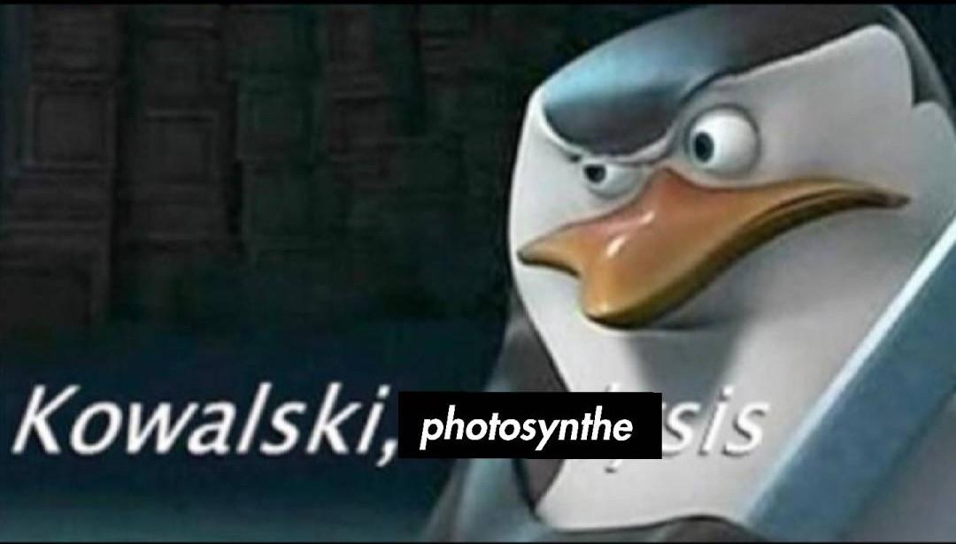 When your house plant, Kowalski, exhibits poor growth despite ample light, water, and nutrients ...
