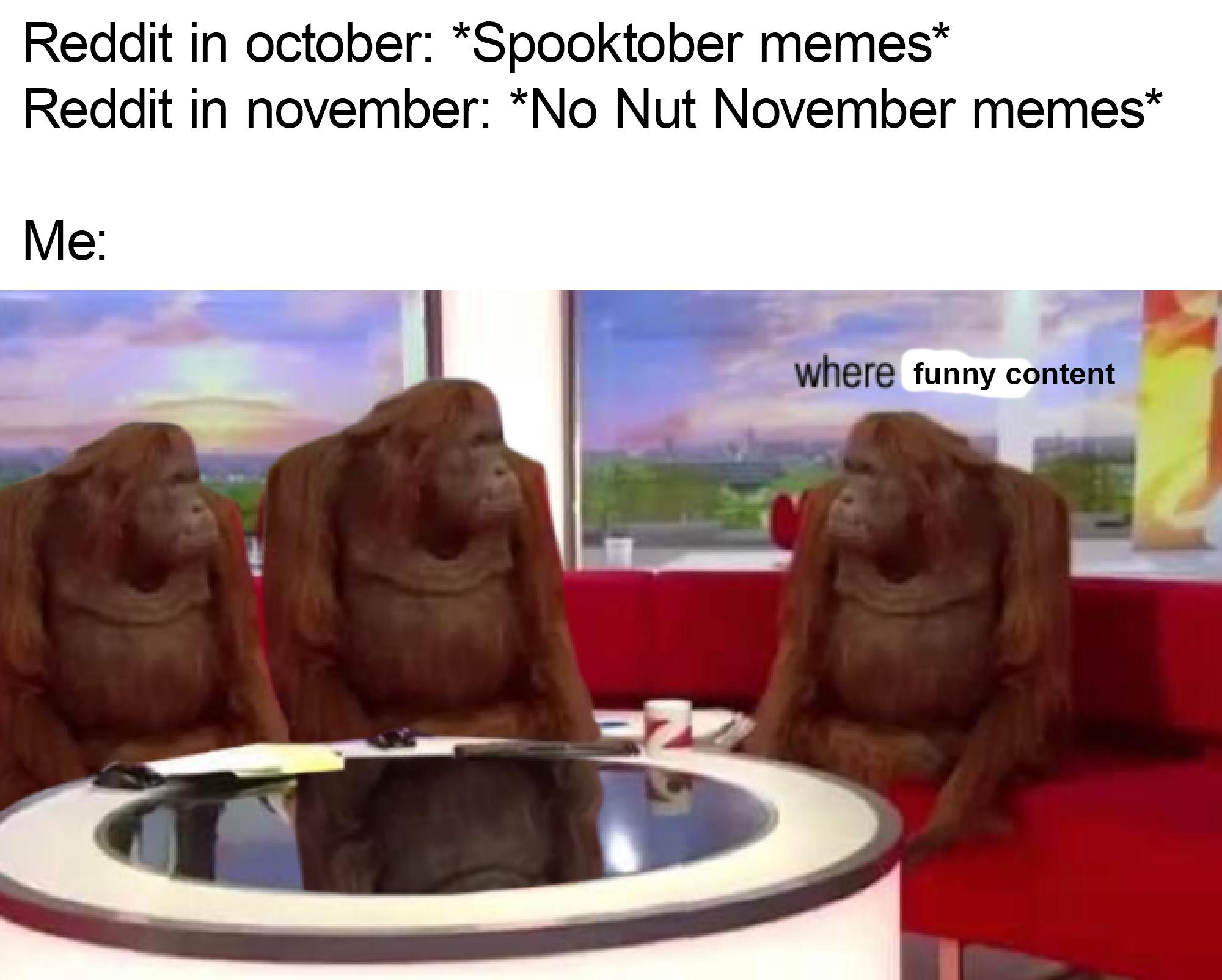 Where are normal memes? | Scrolller