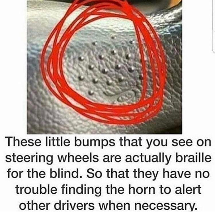 Where are the little bumps? | Scrolller