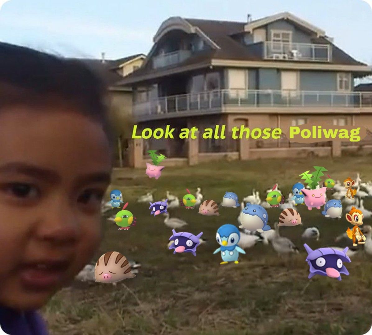 Where. Are. The. Wags | Scrolller