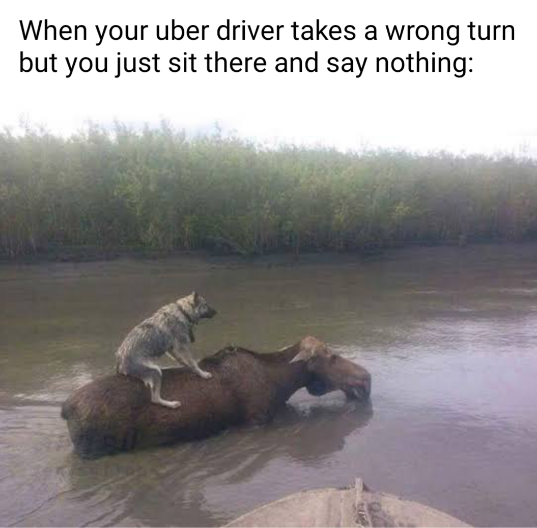 Where Are We Going Scrolller