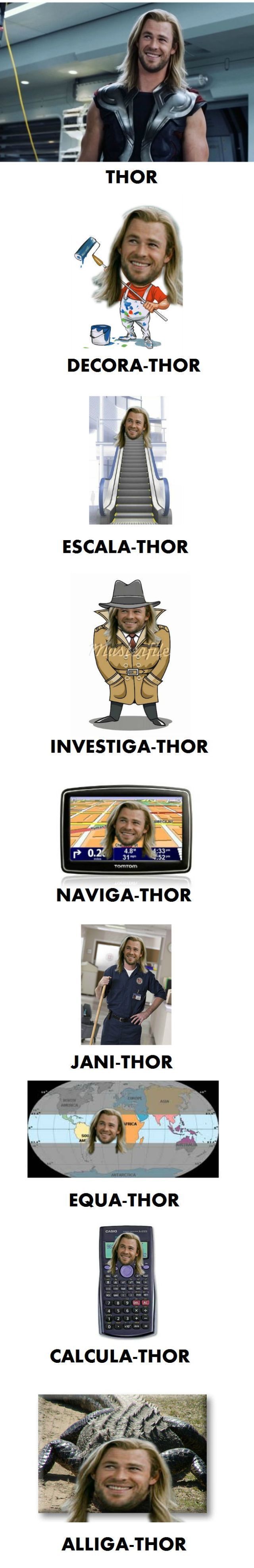 Where's the dicta-thor? | Scrolller