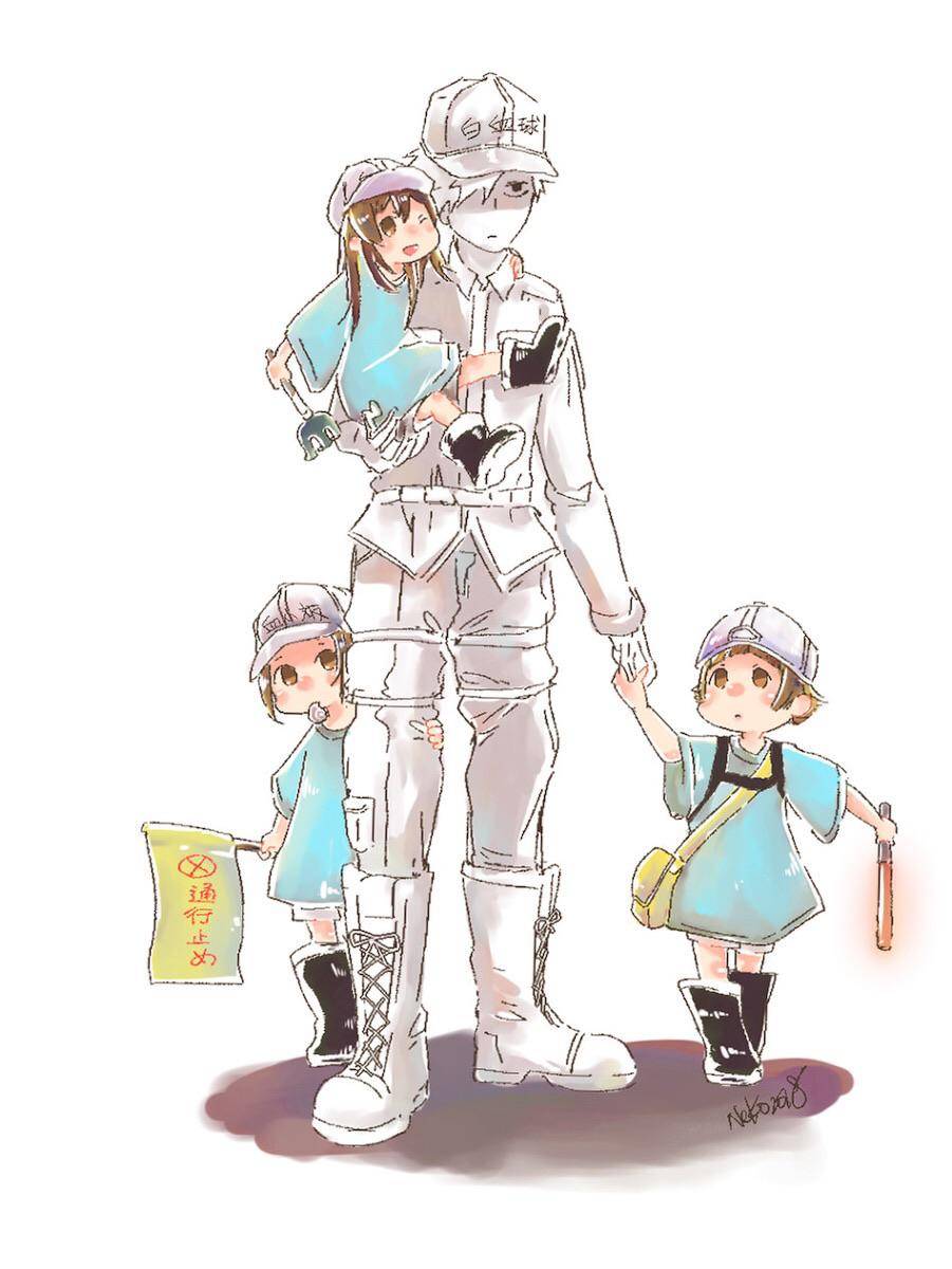 White Blood Cell will protect the Platelets | Scrolller