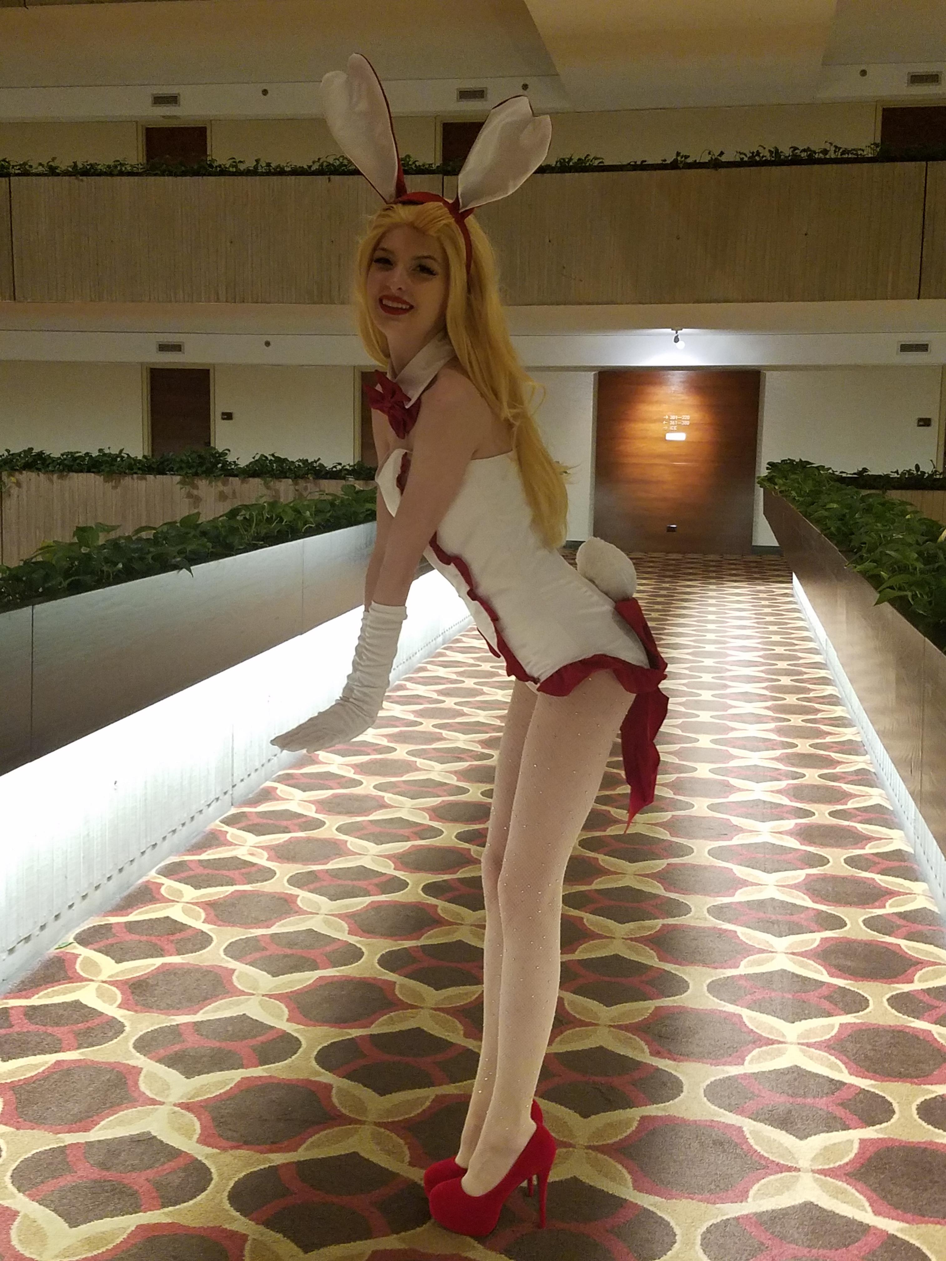 White rabbit | Scrolller