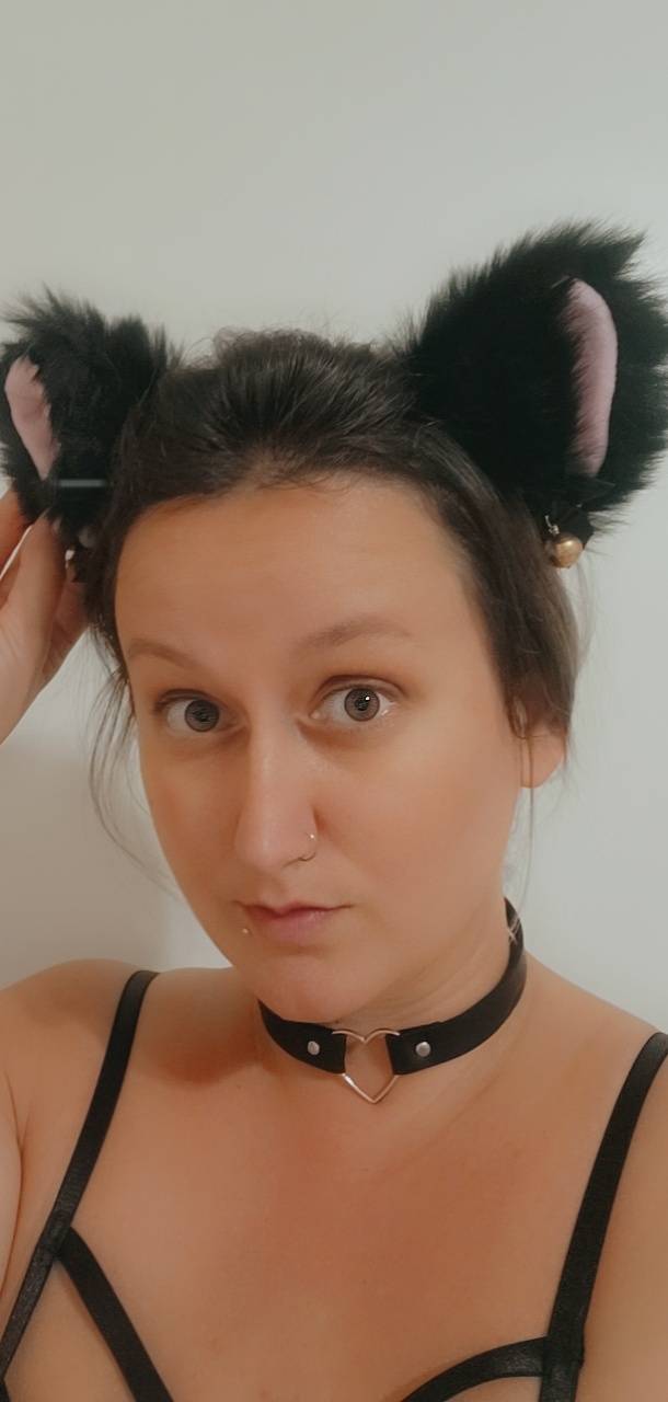 Who doesn't love a kitten 😍 | Scrolller