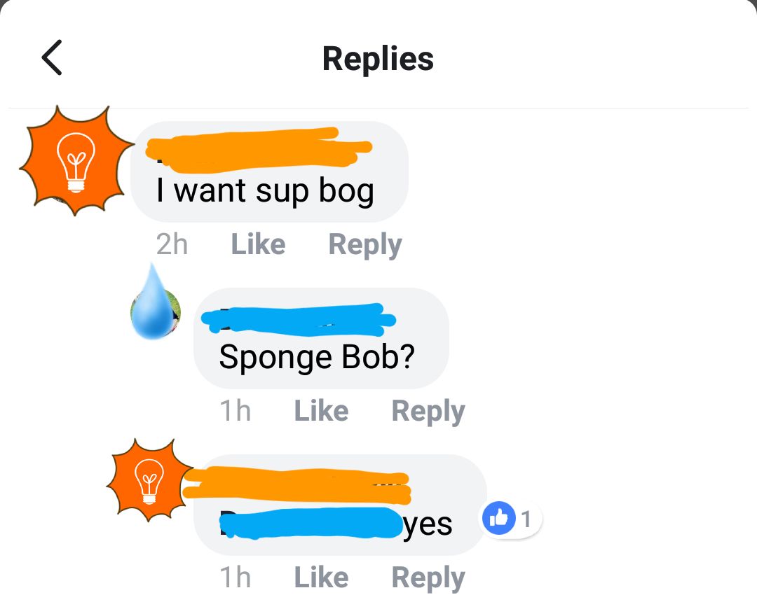 Who lives in a pineapple under the sea? | Scrolller