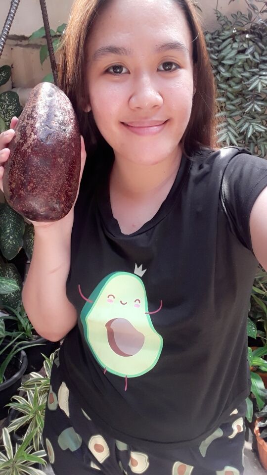 Who loves avocados? 🥑 | Scrolller