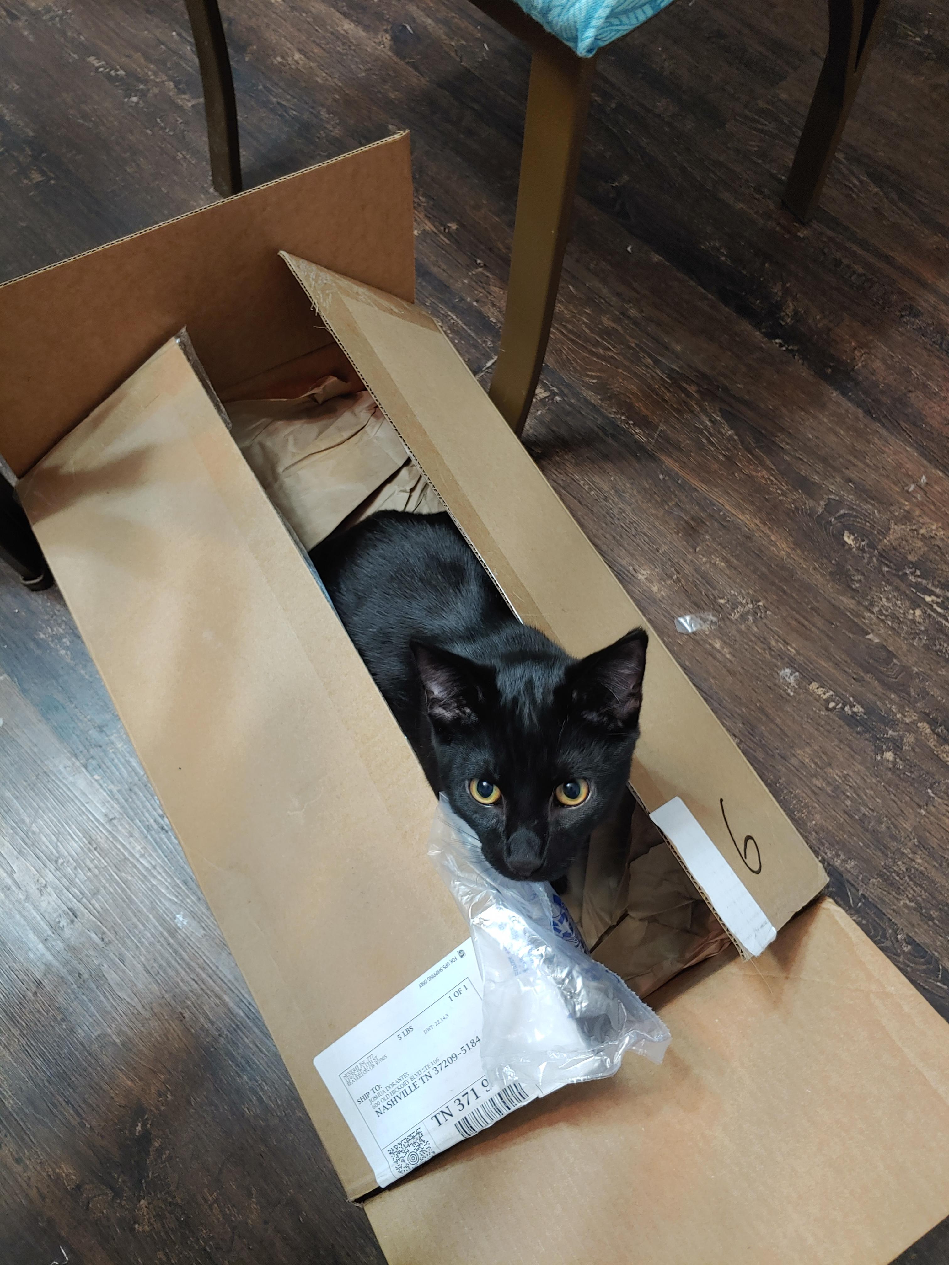 Who ordered the Spoopy? | Scrolller