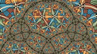 Who wants to see [m]y Kaleidoscope? | Scrolller