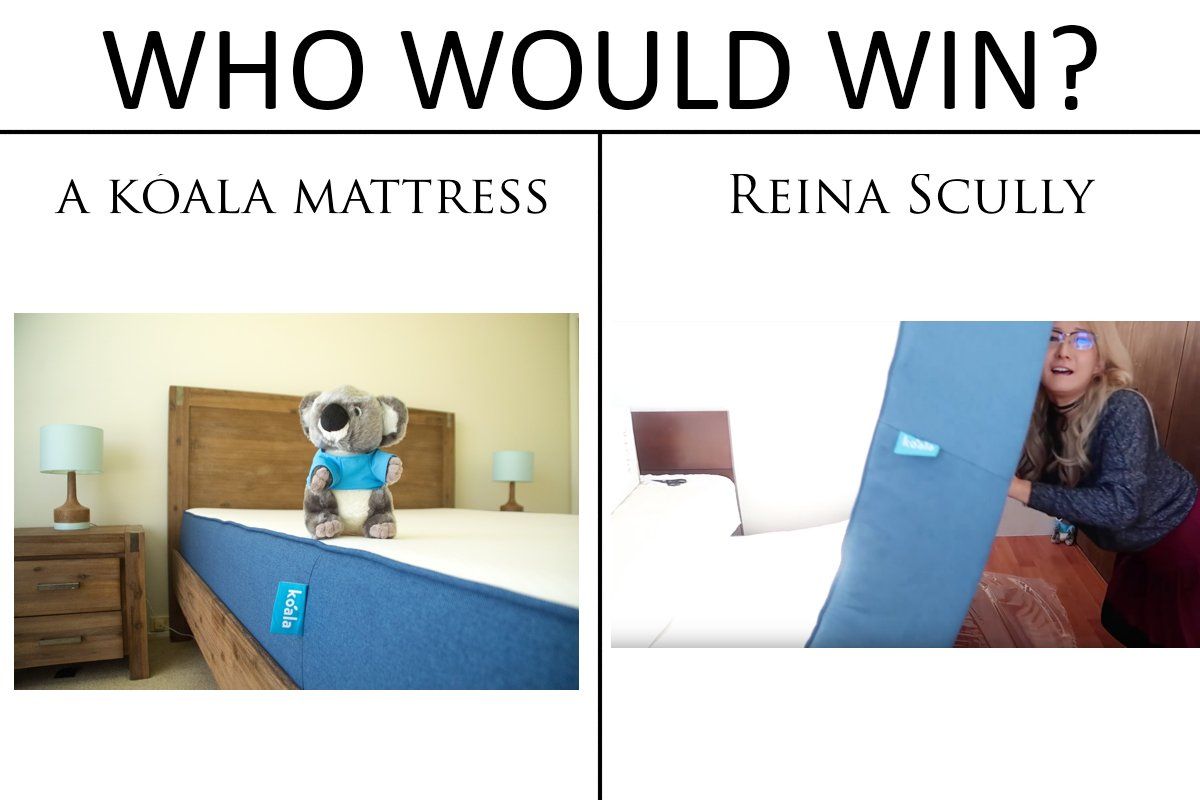Who Would Win ? | Scrolller