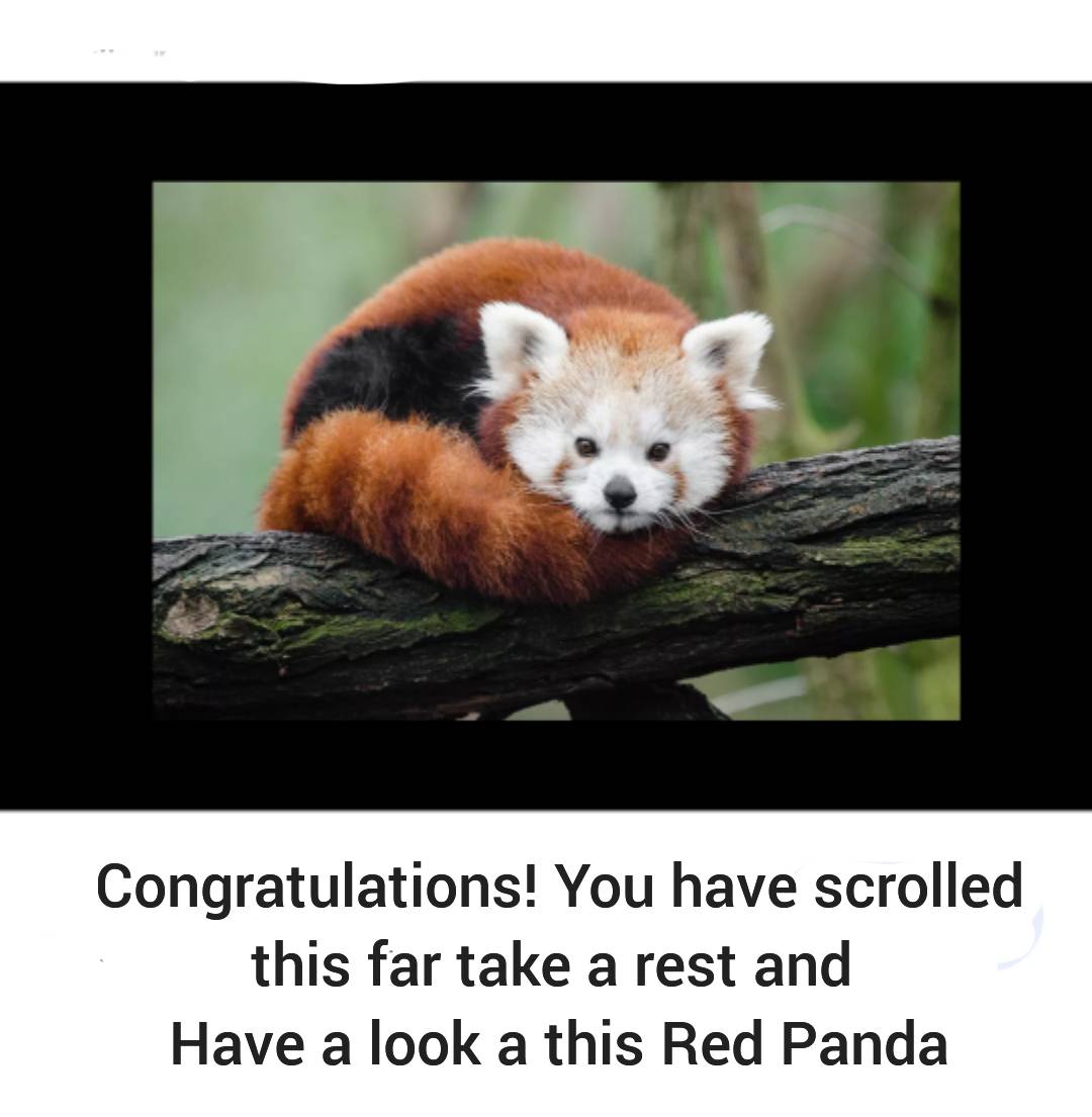 Wholesome panda | Scrolller