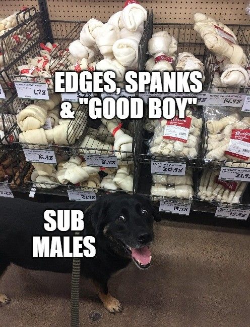 Who's a Good Boy? | Scrolller