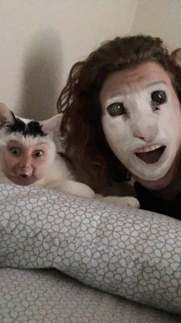 Whose cat is that?? | Scrolller