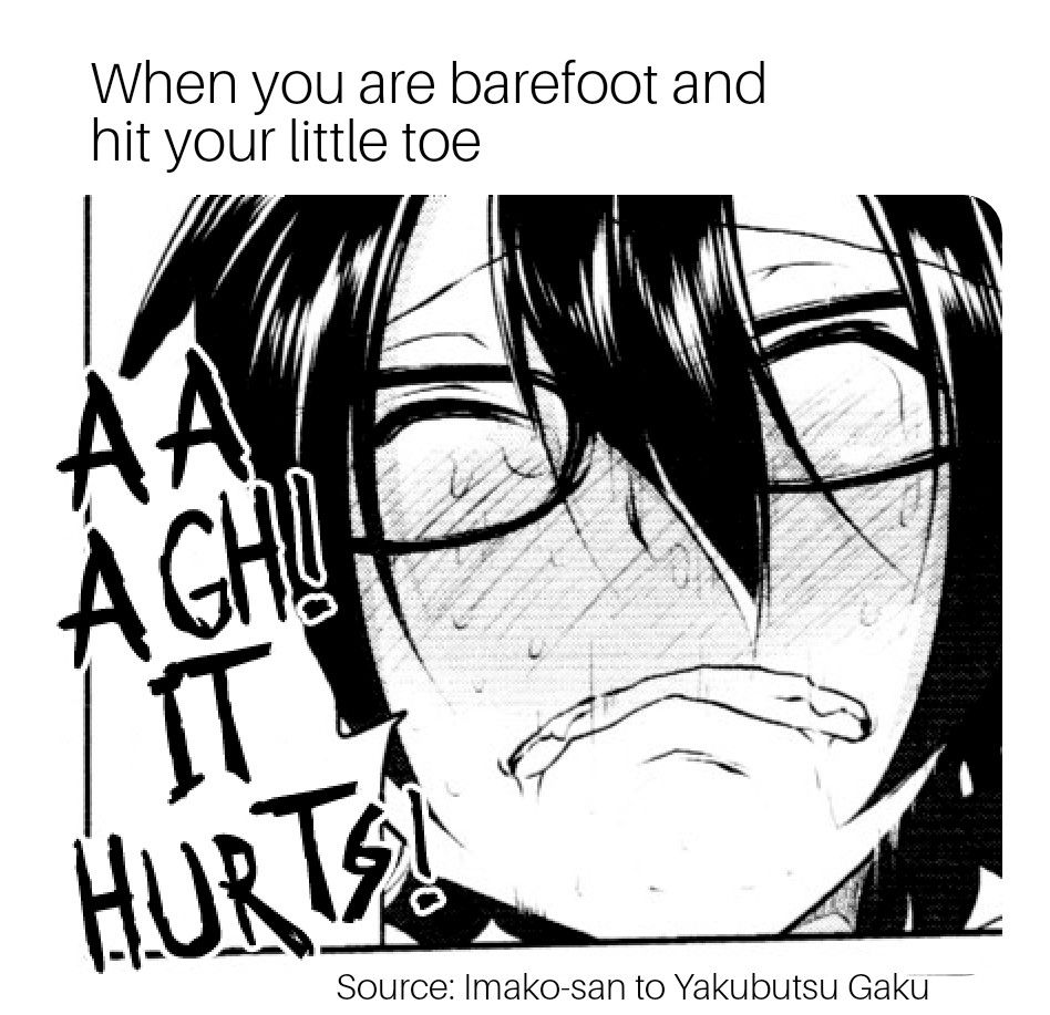 Why are they still there? Just to make us suffer? | Scrolller