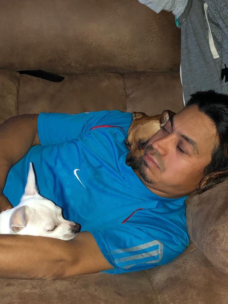 "Why do we need two dogs? One is enough." | Scrolller