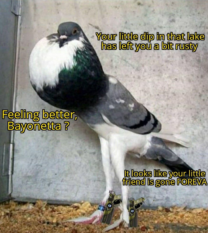 Why does Jeanne have so much meme potential ? | Scrolller