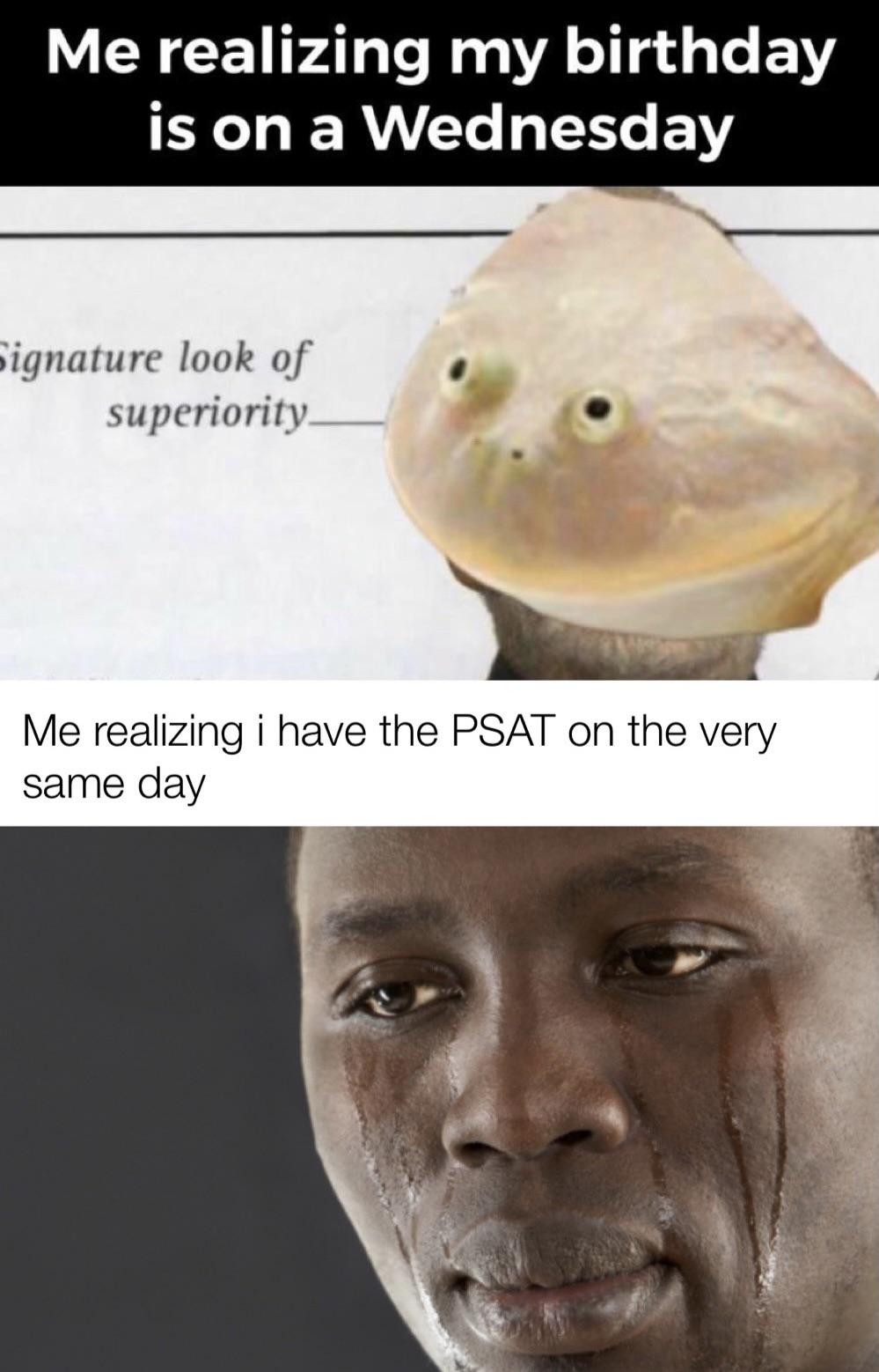 Why does this have to happen | Scrolller