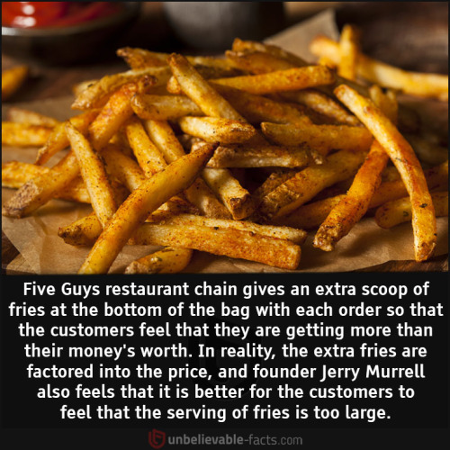 Why Five Guys Always Gives You So Many Extra Fries | Scrolller