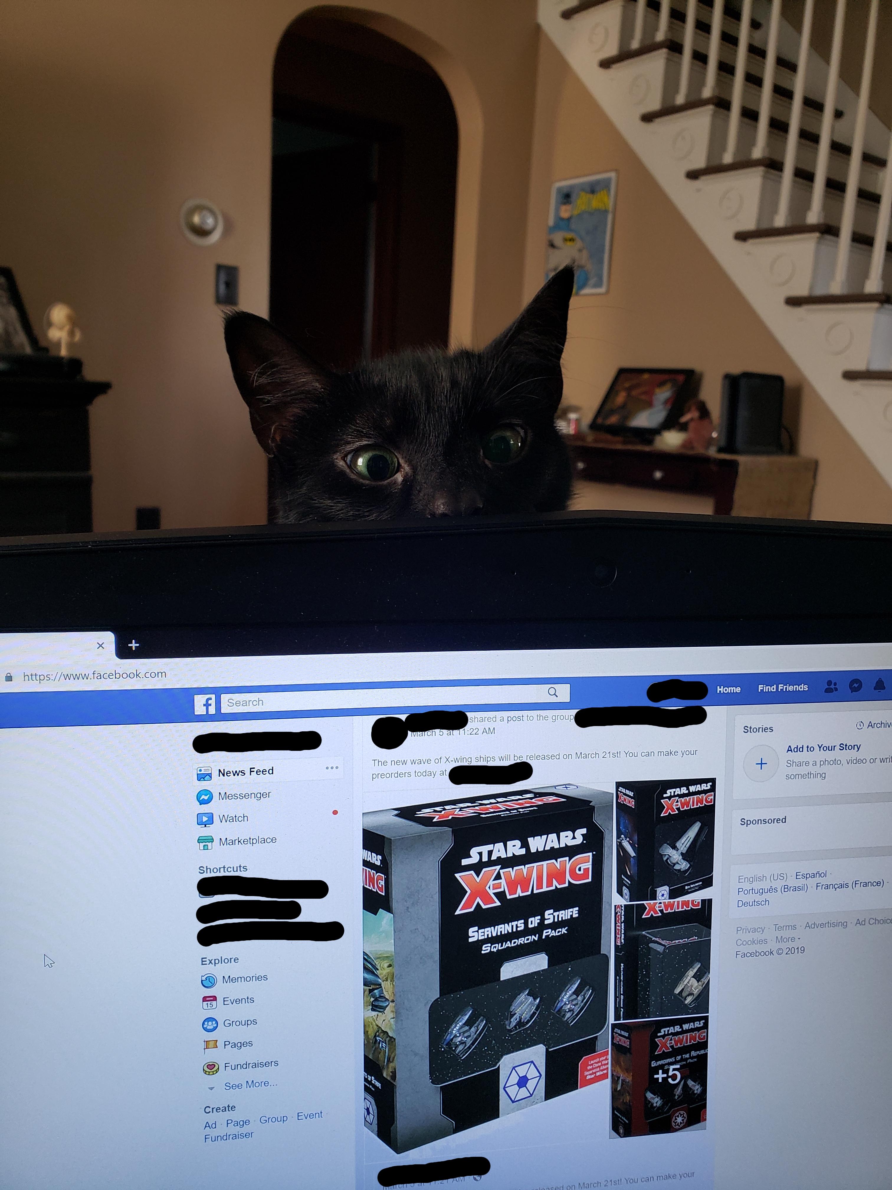 "Why human so distracted?" | Scrolller