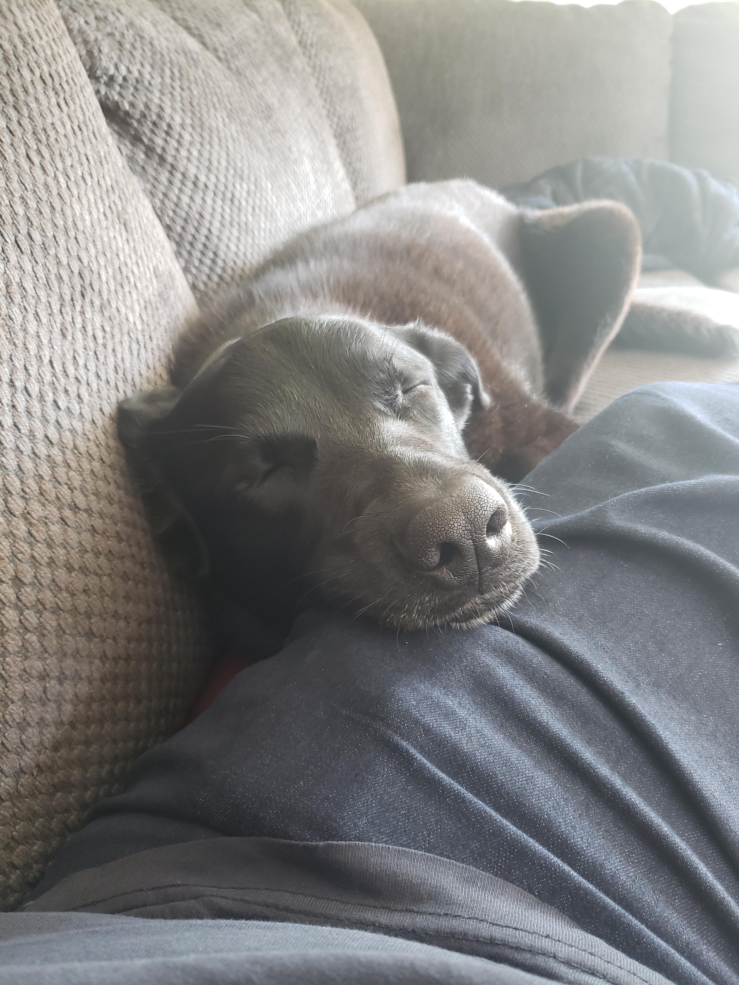 Why I always come home for lunch. | Scrolller