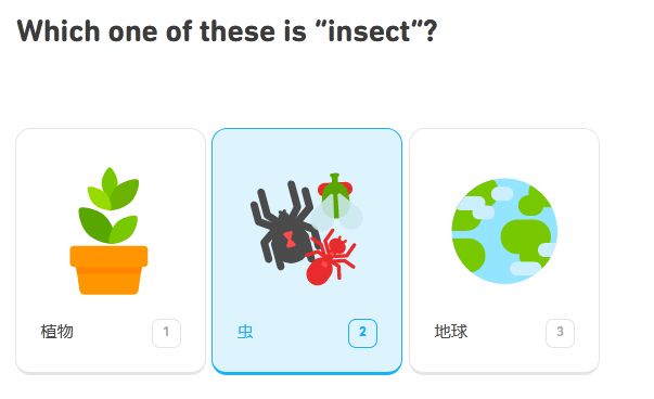 Why is there a spider in the insects' image? | Scrolller