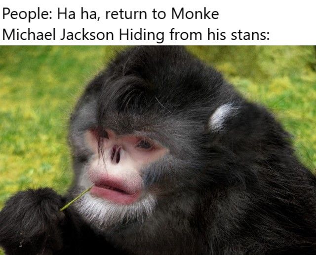 Why must you be this way | Scrolller