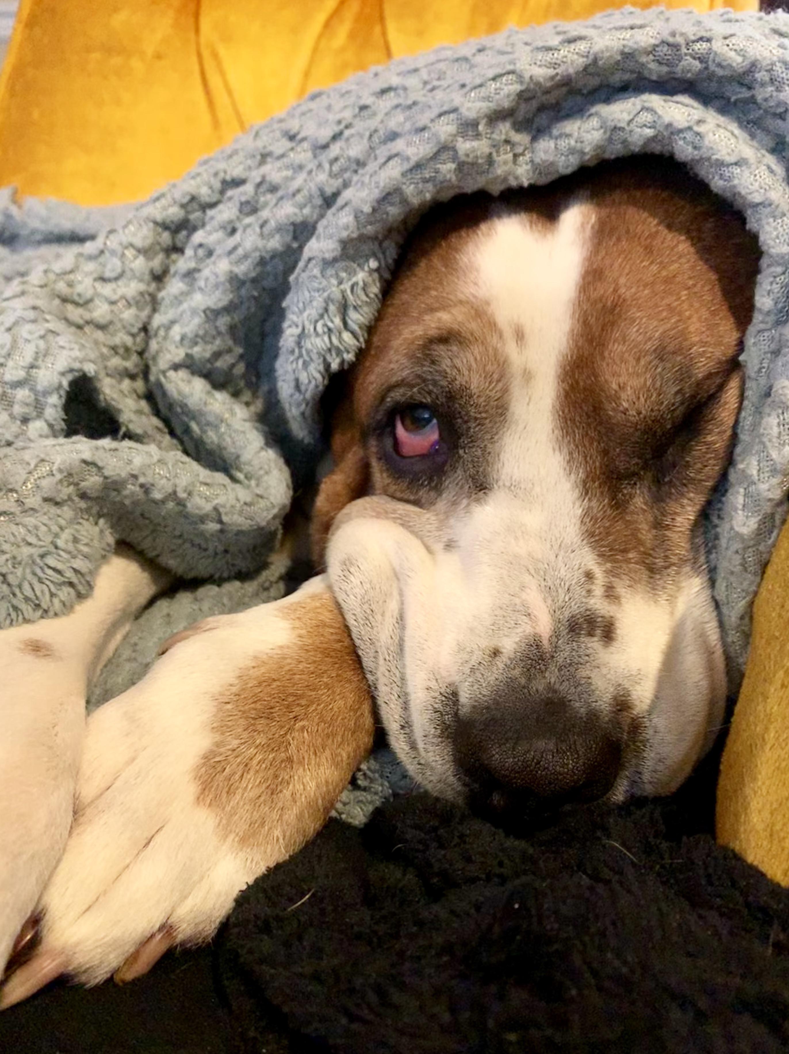 Why must you wake squish boy from his slumber? | Scrolller