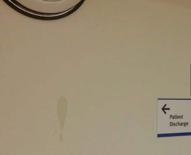 Why yes, that looks like discharge | Scrolller