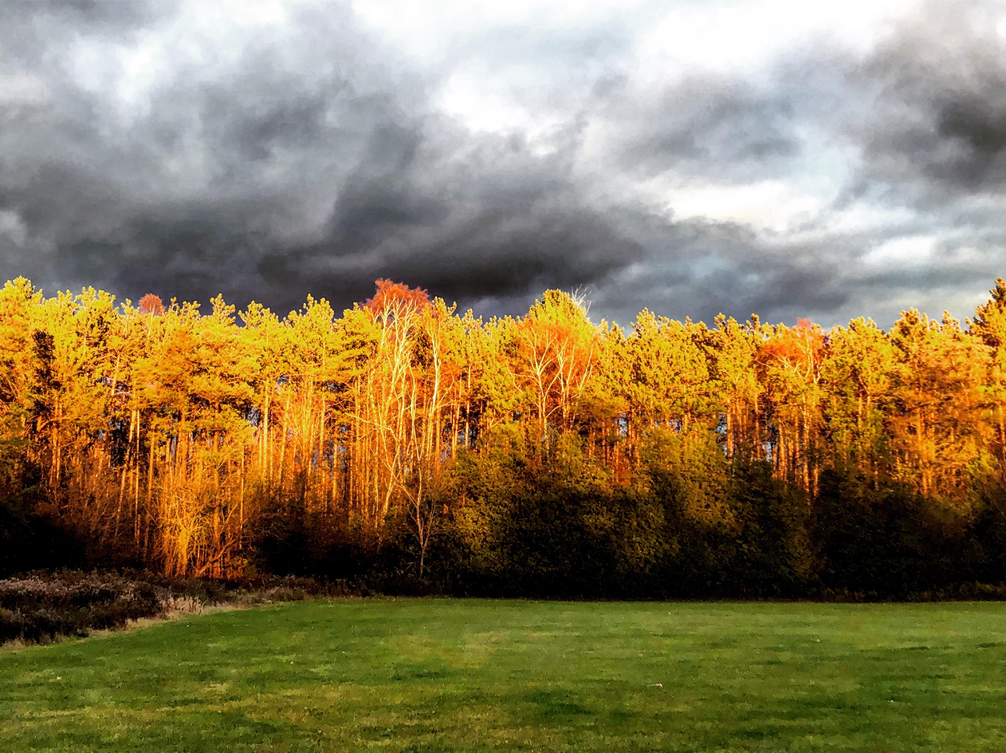 Wicked view. | Scrolller