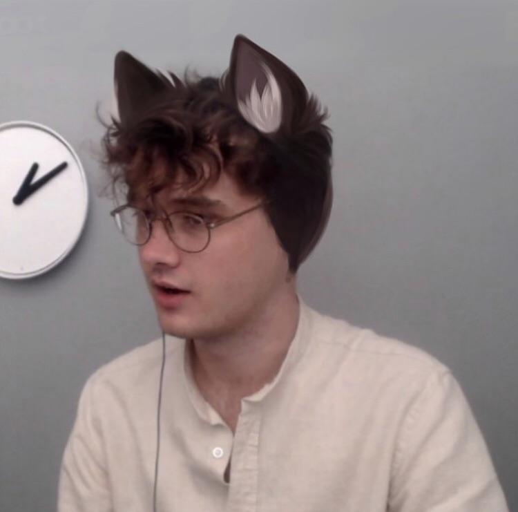 wilbur with cat ears | Scrolller