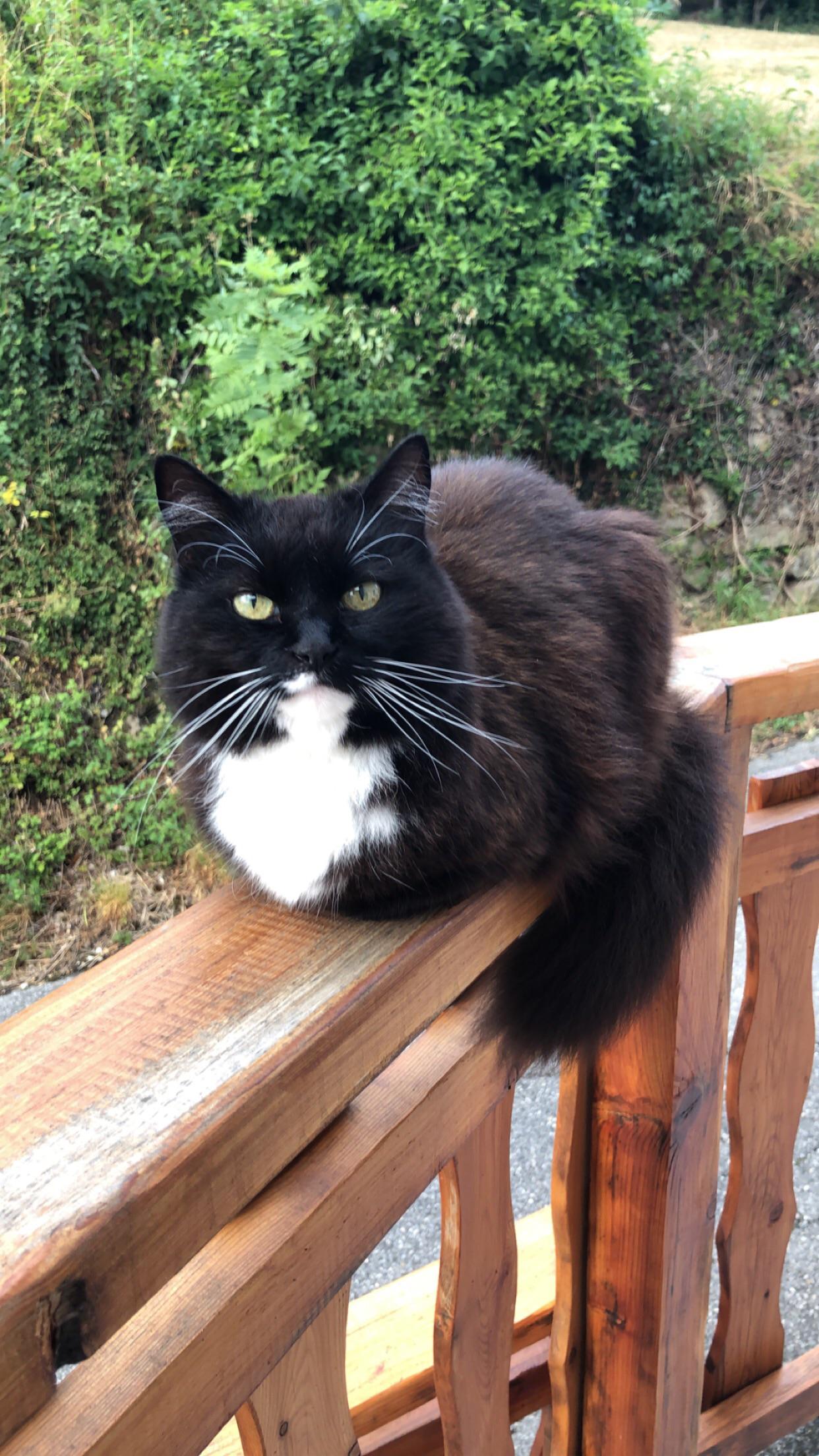 Wild outside double choco loaf | Scrolller